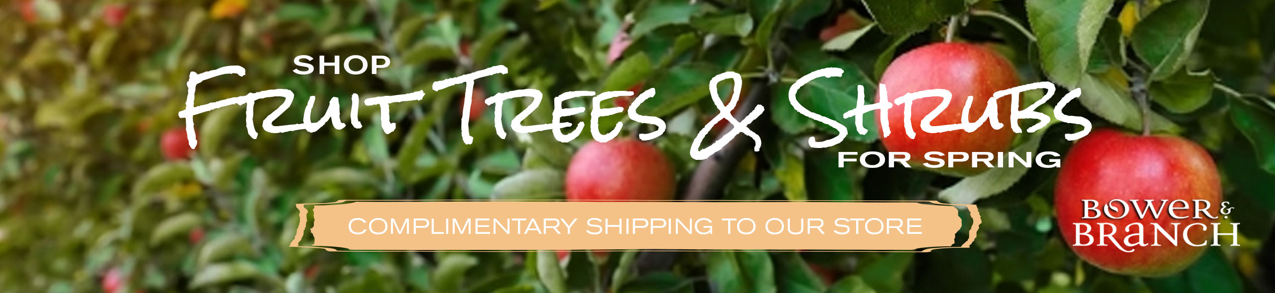 Fruit-Trees-&-Shrubs-Banner | Gossett Brothers Nursery Ltd.